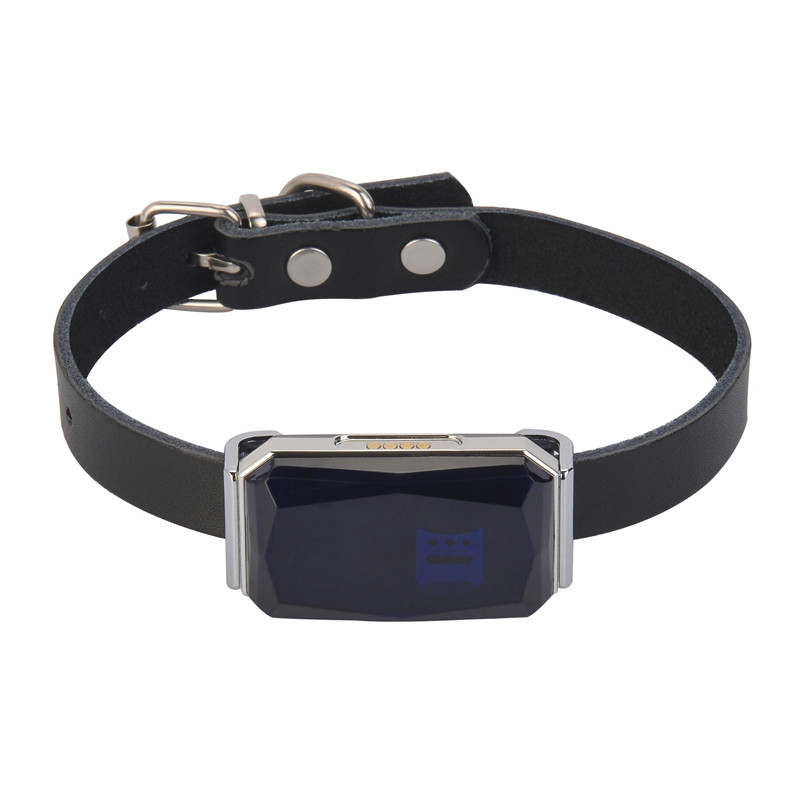 OEM Real tracker collar factory and suppliers | Sykoo