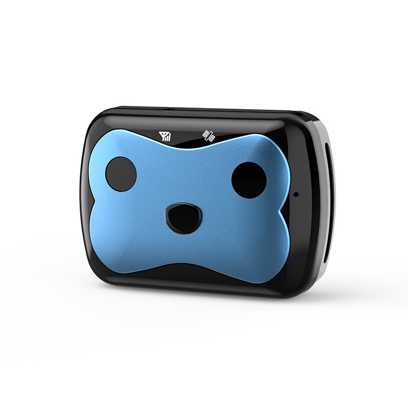 OEM Real time GPS dog collar factory and suppliers | Sykoo