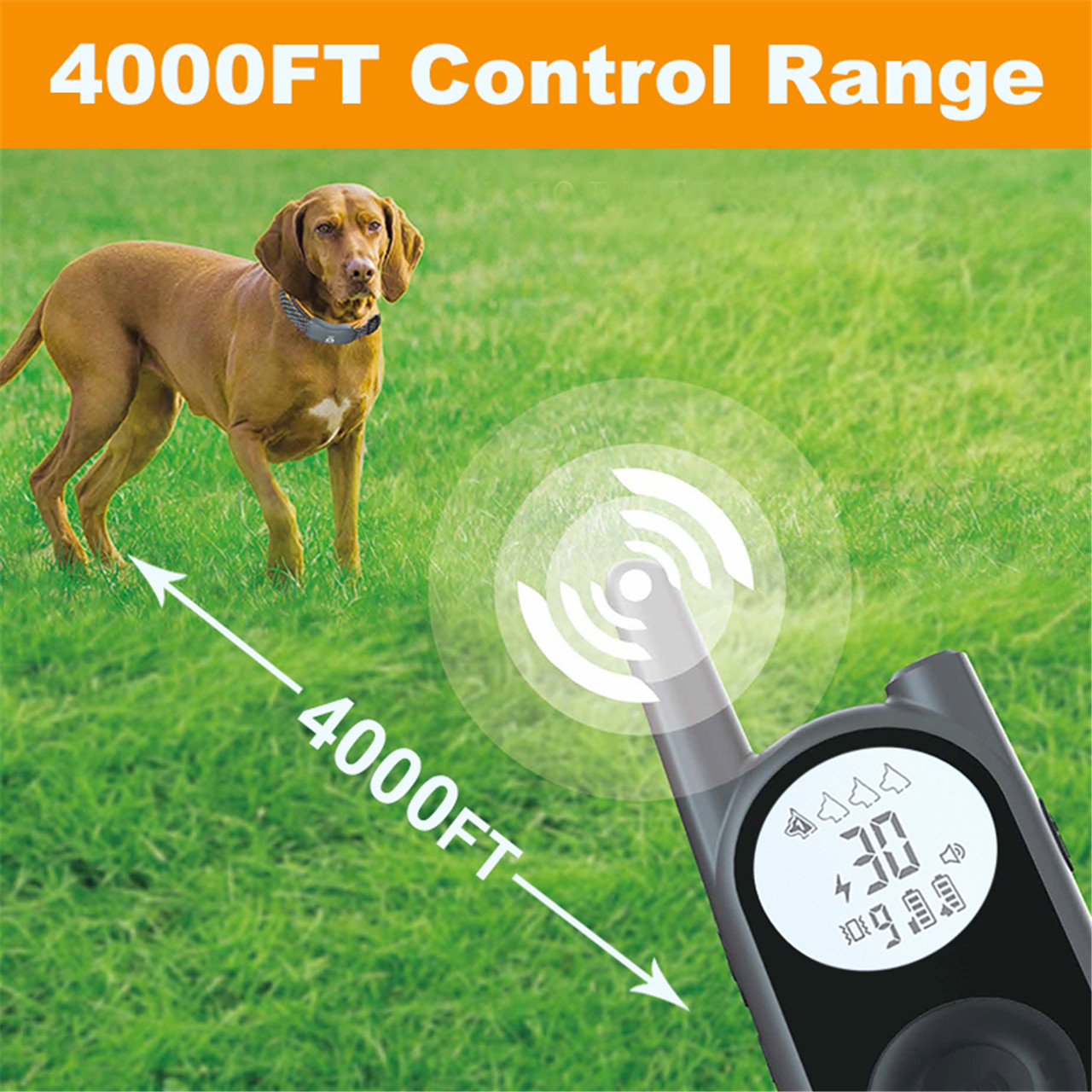 OEM e collars for dogs training factory and suppliers | Sykoo